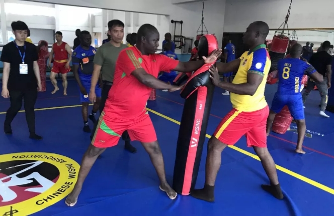 VIP Protection Training Seminar for the CAR's Presidential Guard Takes ...